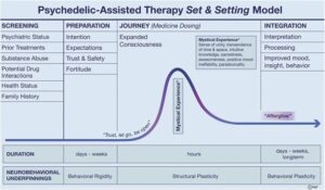 The Role of the Therapist in PATs | Mental Health Academy